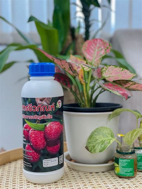 หัวเชื้อจุลินทรีย์เสริมสร้างการเจริญเติบโต สูตร2 Microbial Inoculum Promotes Growt Th