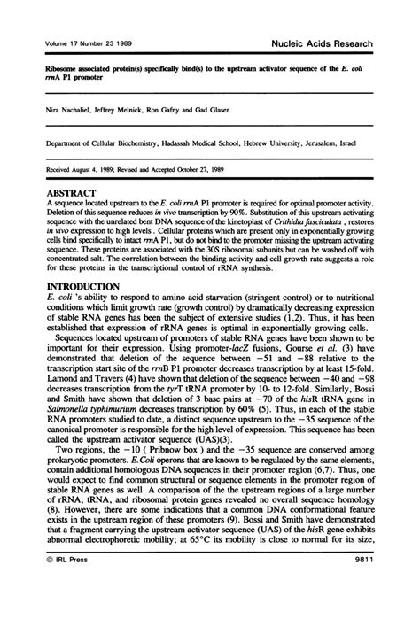 Pdf Ribosome Associated Proteins Specifically Binds To The Upstream Activator Sequence Of