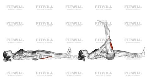 Hamstrings Lying Stretch Exercise Guide Techniques Benefits How To Muscles Worked Tips