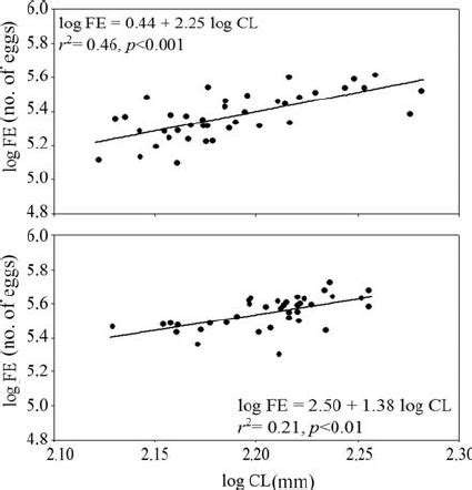 Relationship Between Log Fecundity Number Of Eggs FE And Log Body Download Scientific