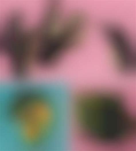 Cute Consumable Art Saxton Freymann