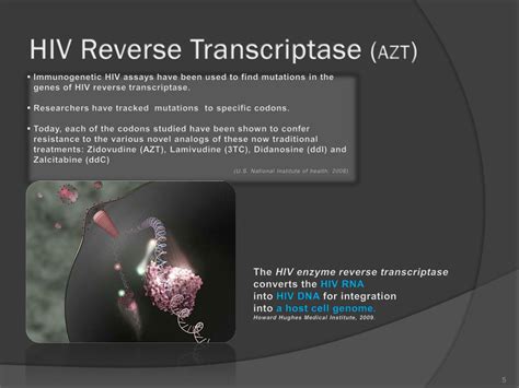 Ppt Enzyme Inhibition In The Treatment Of Aids Powerpoint Presentation Id6486996