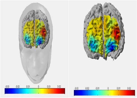 Figure 14 From Single Trial Classification Of Fnirs Signals In Four Directions Motor Imagery