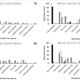 The Importance Values Of Major Tree Species Of Each Layer Of Groups Download Scientific Diagram