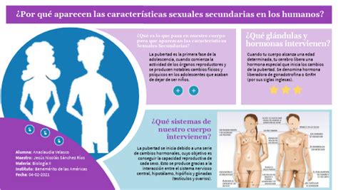 Caracteres Sexuales Genially