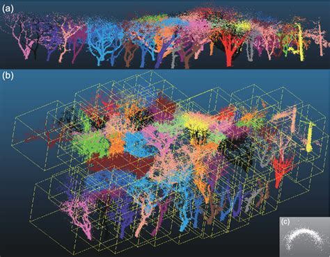 Figure 2 From Automatic Individual Tree Detection And Canopy