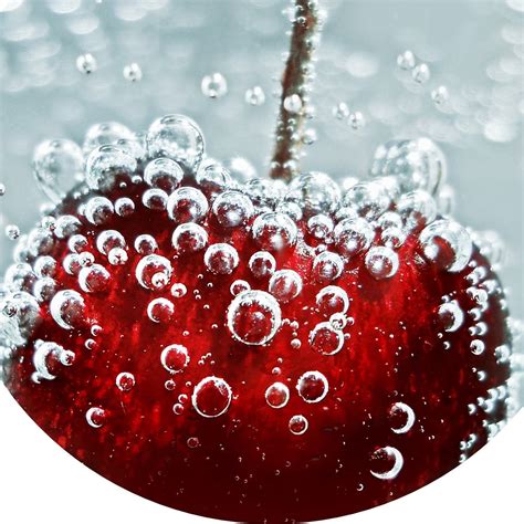 Череши от Овощни градини Дядо Генчо Кюстендил Kjustendil