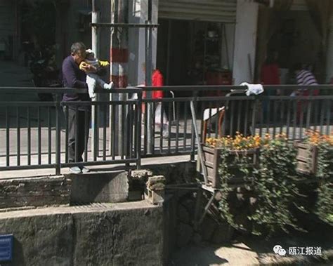 水清、河暢、岸綠、景美：麗陽坑煥發新生 每日頭條