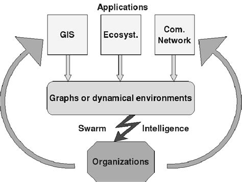 spatial organizations complexity description and the conceptual generic