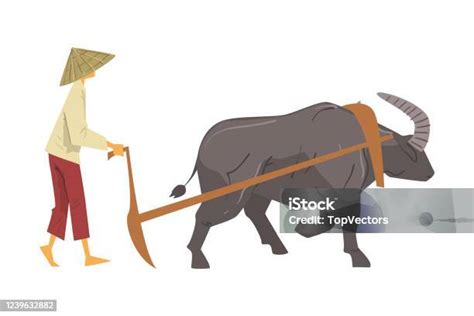 아시아 농부 빨대 원두 모자 옥슨 남성 농민 캐릭터 작업 에서 논 필드 만화 스타일 벡터 일러스트 농부에 대한 스톡 벡터 아트 및 기타 이미지 Istock