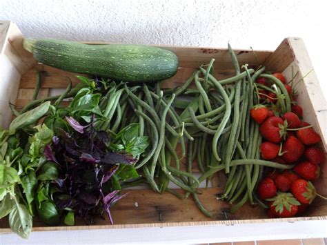 Fast Food Lindy Sinclair