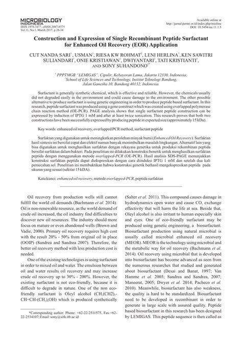 Pdf Construction And Expression Of Single Recombinant Peptide