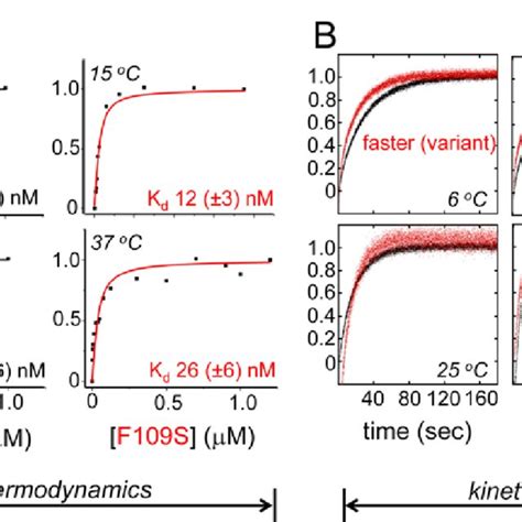 Pdf Human Sex Determination At The Edge Of Ambiguity Inherited Xy Sex Reversal Due To Enhanced