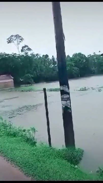 বন্যার পানি Youtube