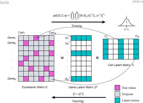 Figure 1 From A Bayesian Factorization Method To Recover Single Cell Rna Sequencing Data