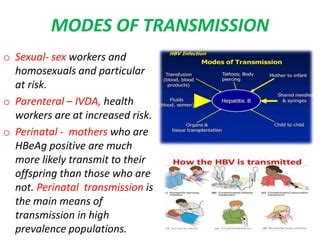 Hepatitis B Symptoms Prevention And Treatment PPTX
