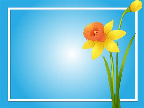 Border Template With Yellow Daffodil 432504 Vector Art At Vecteezy