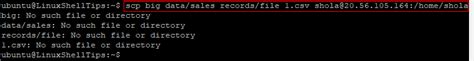 How Do I Escape Spaces In Paths For Scp In Linux