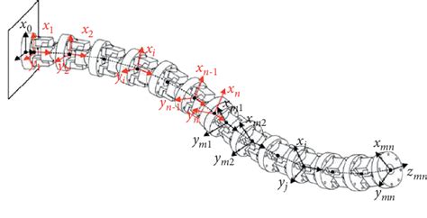 Figure 8 From Design And Validation Of A Novel Cable Driven Hyper Redundant Robot Based On