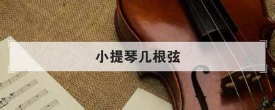 小提琴几根弦 酷知科普