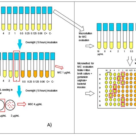 Schemes Of A Mic And Mbc Tests B Mic Test By Micro Method