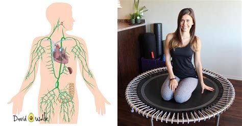 Get The Lymphatic System Moving With The Best Exercise David Avocado