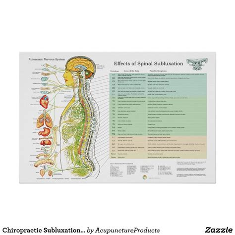 Chiropractic Subluxation Chart Minga