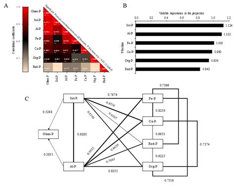 8 Fig 8 Correlation Coefficient A Variable Importance Projection Download Scientific