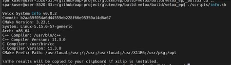 Compiler Error Error Writing 13 Or More Bytes Into A Region Of Size 12 Overflows The