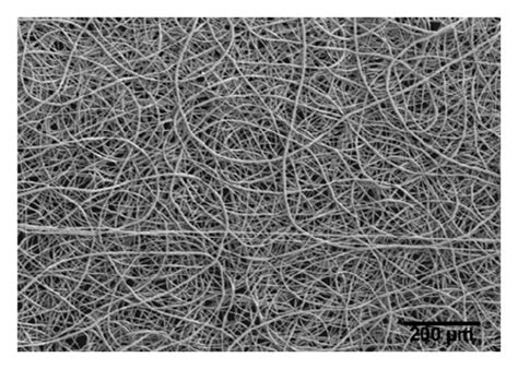 Photomicrographs Of Ces And Com Grafts A On The Left An Isolated