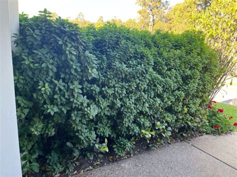 Css Bootstrap Panel Not Align Correctly Stack Overflow