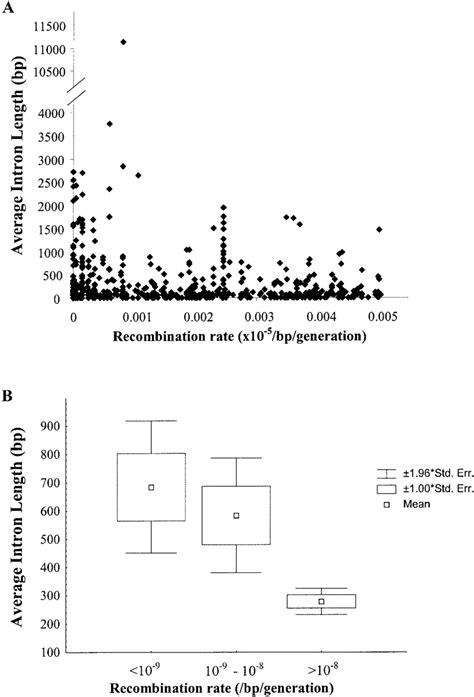 A Relationship Between The Average Intron Length And Recombination
