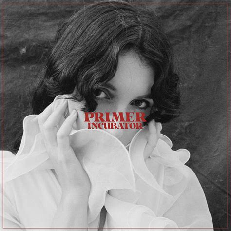 Primer Incubator Bandcamp Daily