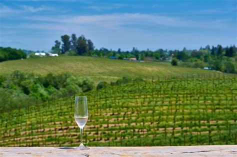 Premium Photo Glass Of White Wine And Vineyards