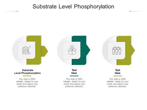 Substrate Level Phosphorylation Ppt Powerpoint Presentation Gallery Icons Cpb Presentation