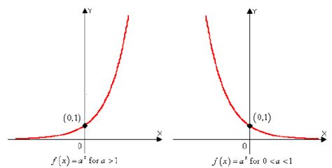 Exponential Function Example