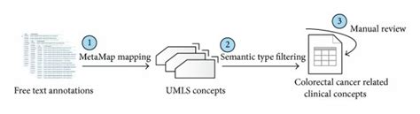 Extracting Clinical Concepts Using Umls Three Steps Were Involved Download Scientific Diagram