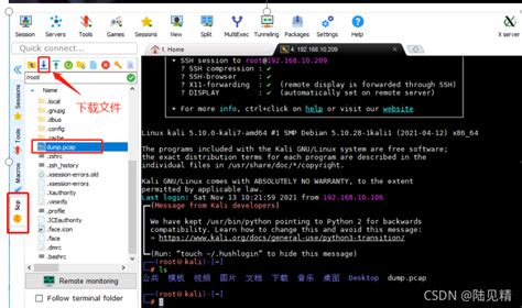 使用tcpdump 在kali抓包，并指定保存位置；下载到windows电脑，用wirshark软件打开抓包数据包kali抓包文件路径在哪