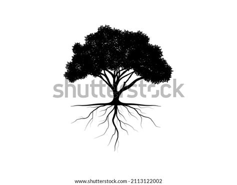 Tree Root Silhouette Isolated On White Stock Vector Royalty Free 2113122002 Shutterstock