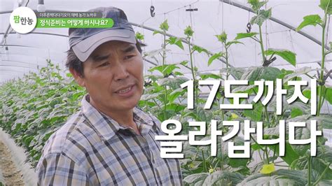 인터뷰영상 오이재배농가 인터뷰영상 Youtube
