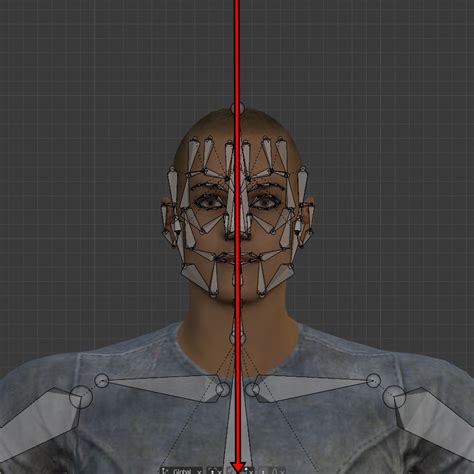 Rigging With Rigify Crash Course Fixing Errors Steam Solo