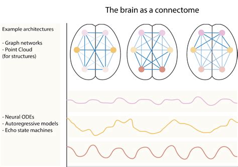 Deep Learning In Neuroimaging