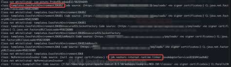 Using Rasp To Look For Evil In Java Programs 🥔