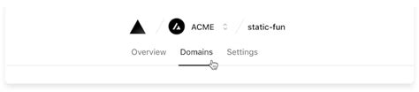 introducing wildcard domains vercel