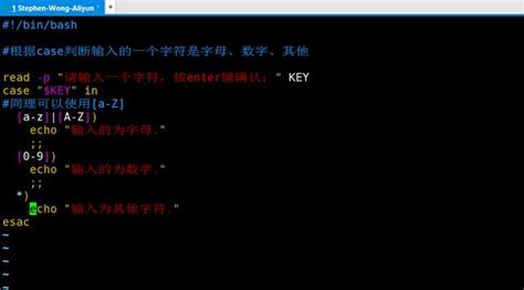 case when 多条件 shell编程的case多分支条件命令简单使用 CSDN博客