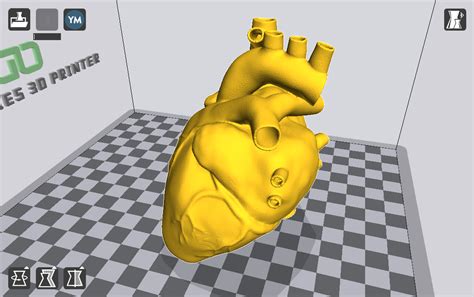 人类心脏模型3d打印图纸 Stl格式stl模型图纸下载 懒石网