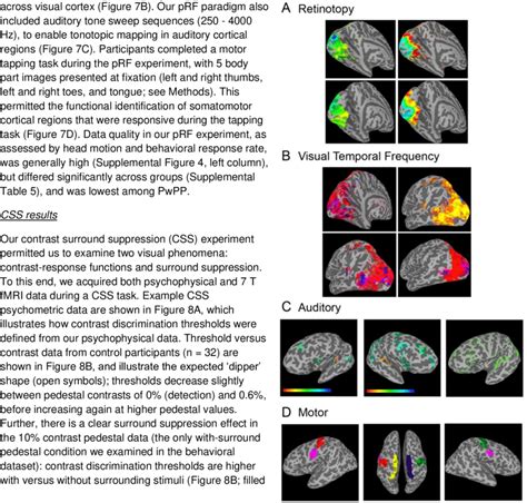 Results From The Prf Fmri Task A Retinotopic Fmri Results From The Download Scientific