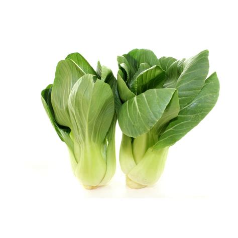 Green Pak Choi Mini Kg Blue Jay Oriental Foods
