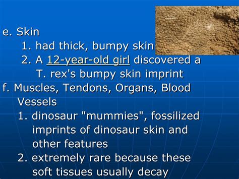 PPT Fossilization PowerPoint Presentation Free Download ID 1172720