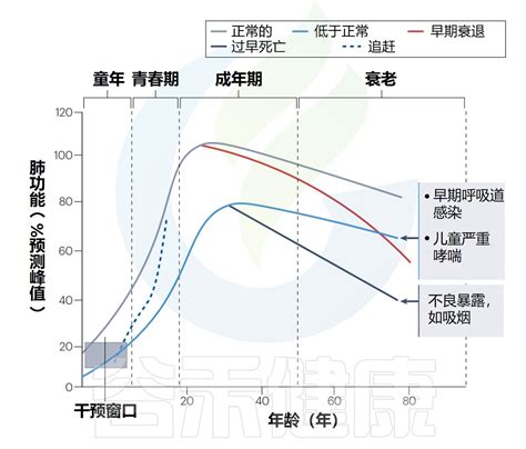 生命早期感染 谷禾健康